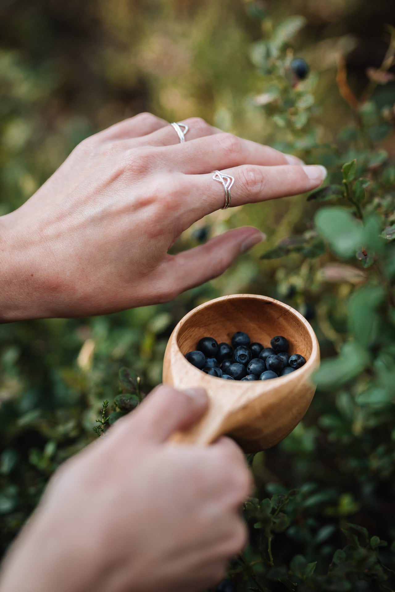 Raindrop collection – Fig's