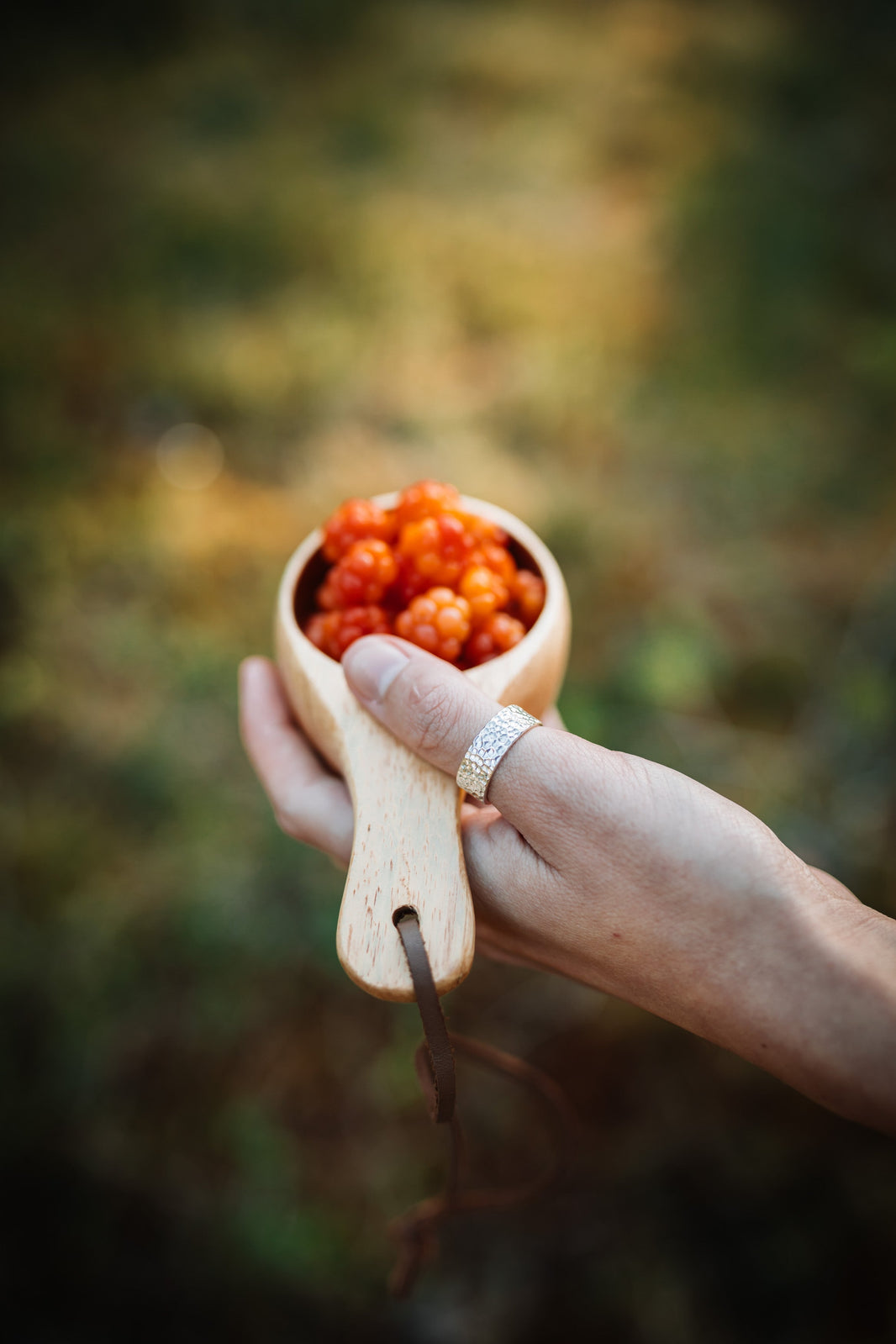 North collection – Fig's